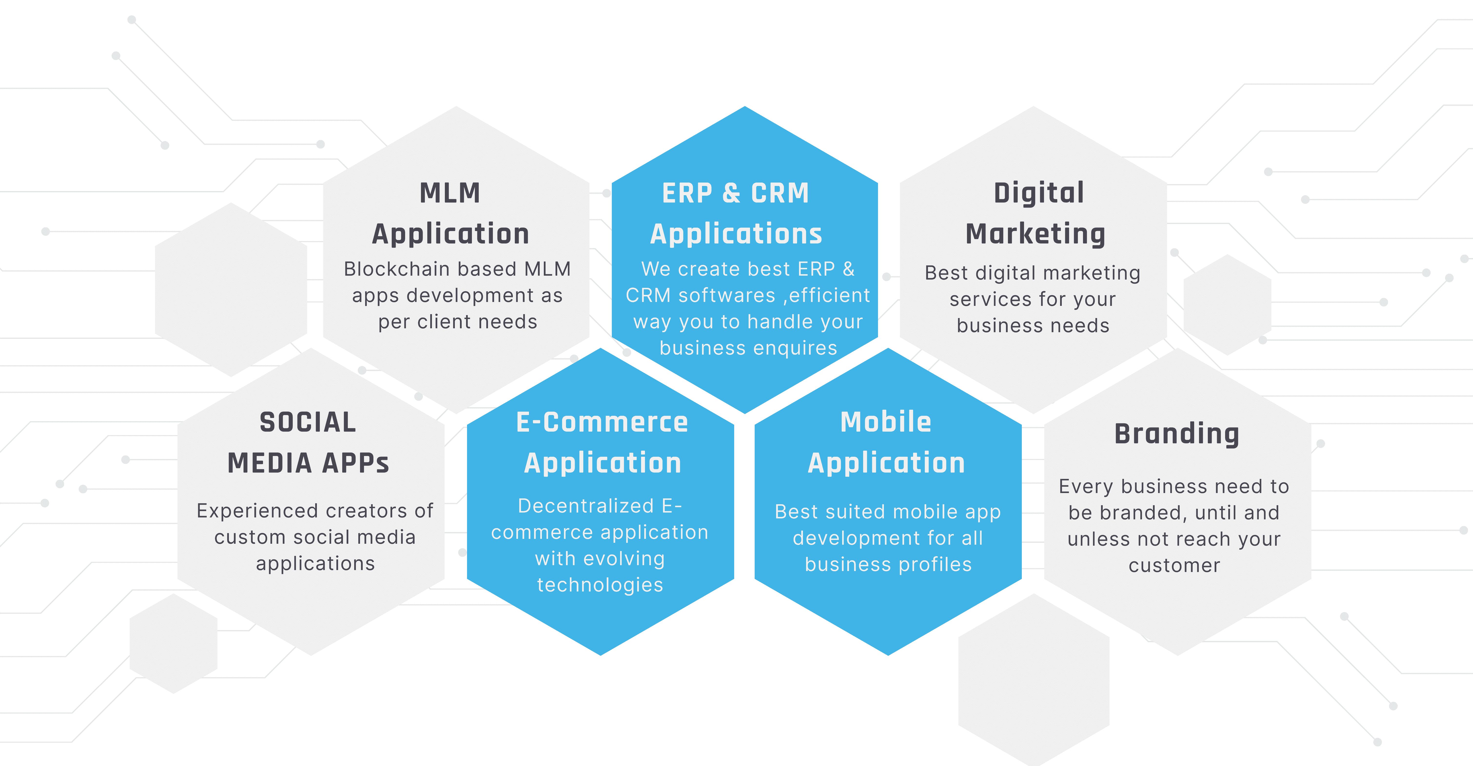 Stackroots - Best Web Application Development Company