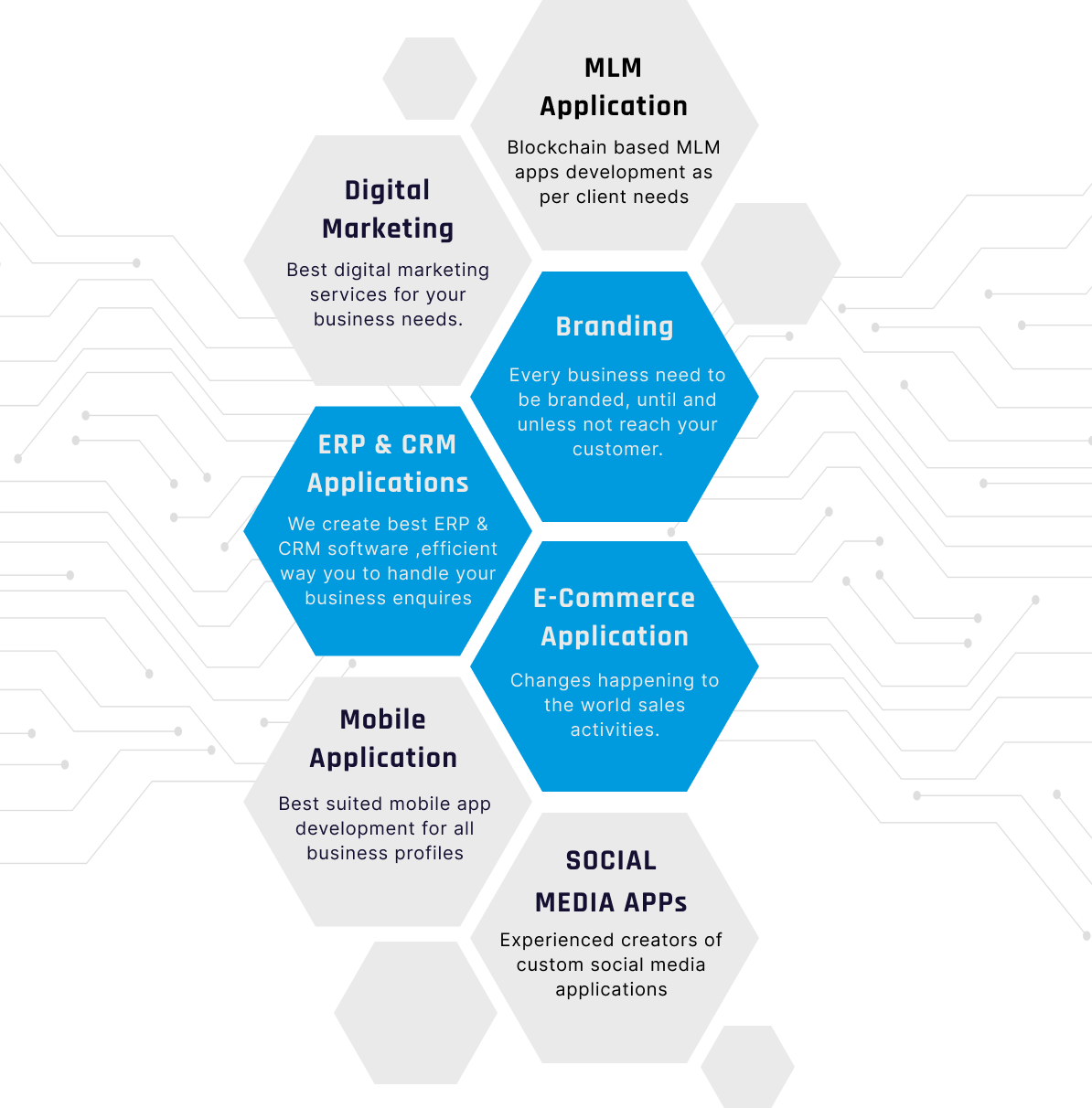 Stackroots - Best Web Application Development Company