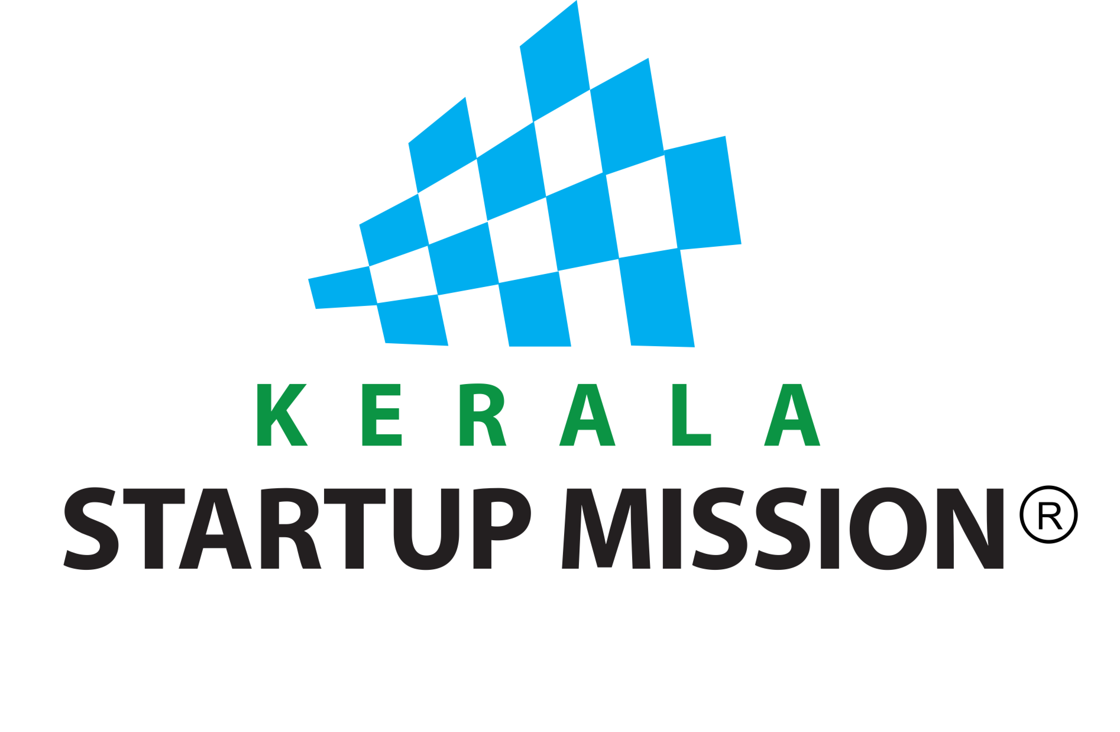 Stackroots - Best Web Application Development Company